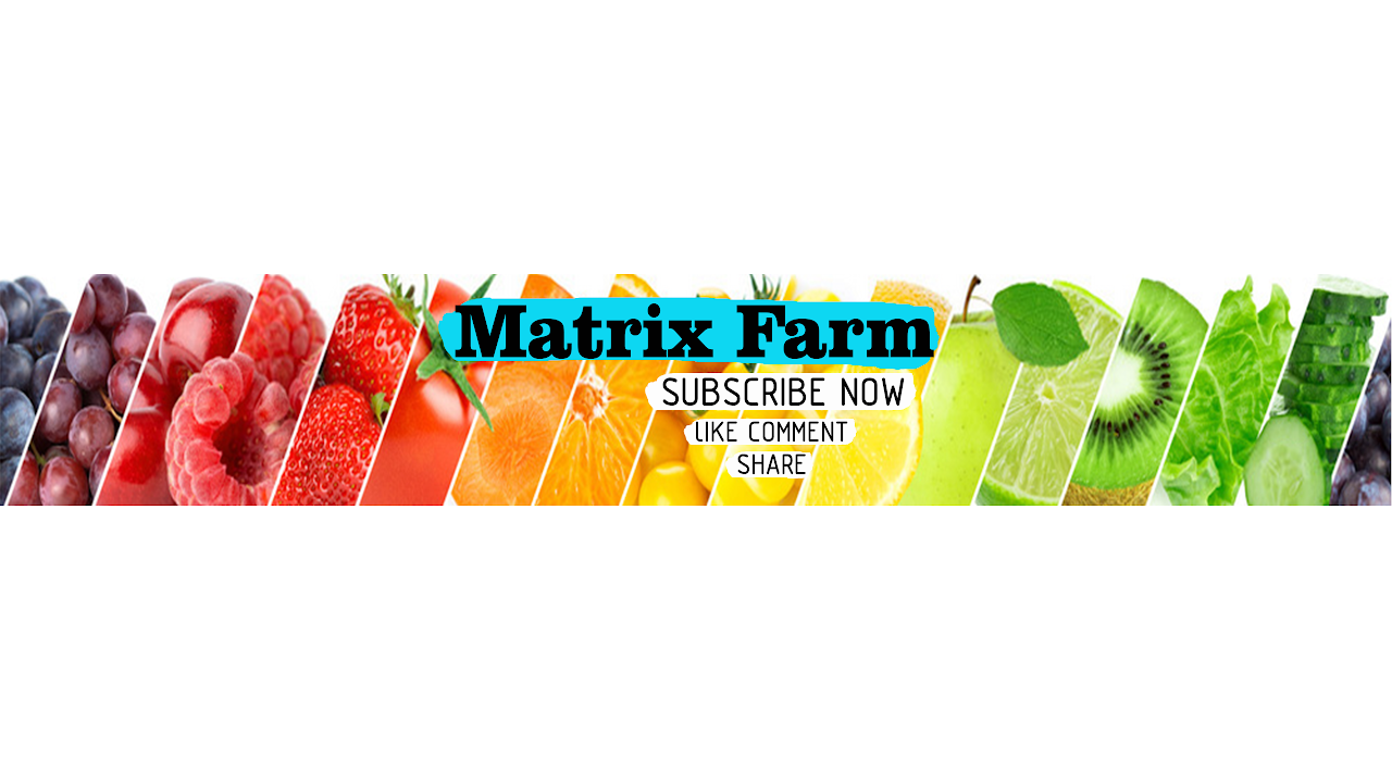 Matrix Farm Live Stream - YouTube