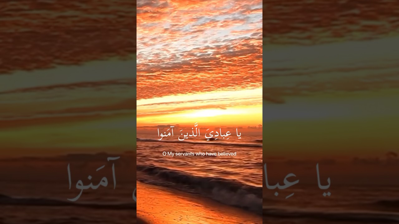 القرآن الكريم🖤 #ahmadhamadi #أحمد_حمادي #_ahmad___hamadi_ #realmadrid ...