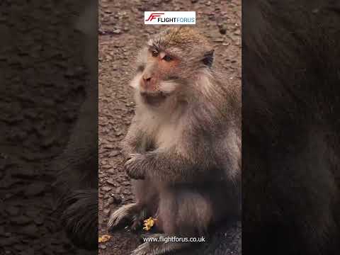 Indonesia: Instagram vs Reality – Oops, It’s the Same! | Flight For Us