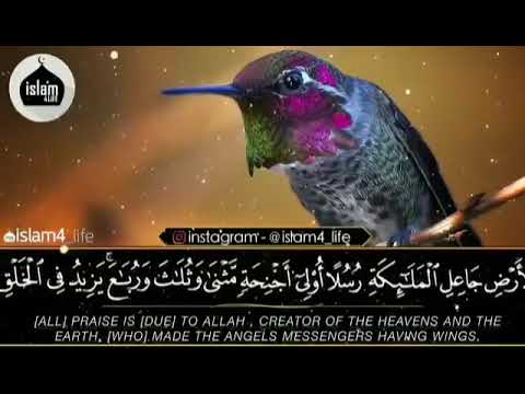 Heart touching whatsapp Quran status