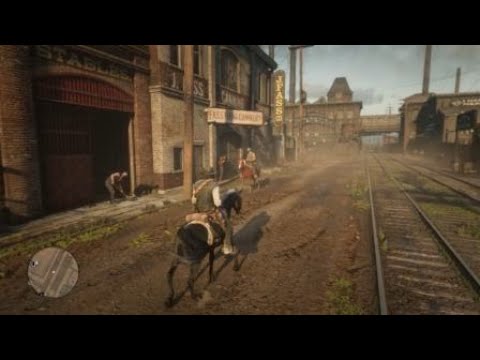 Buying the Arabian Race Horse at Saint Denis Stable - YouTube