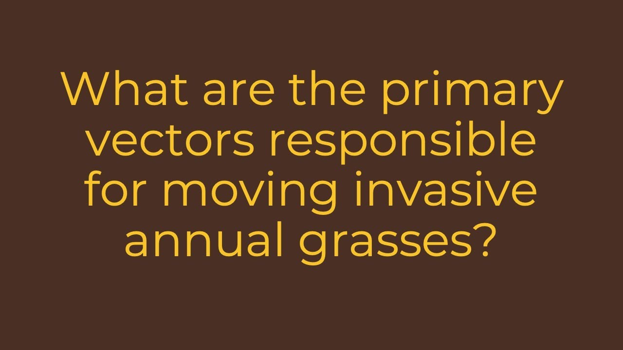 What are the primary vectors responsible for moving invasive annual ...