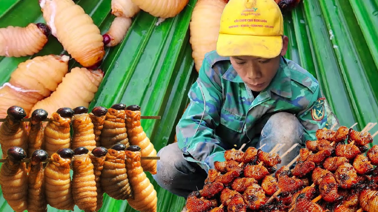 Eating insects, 365 days of survival, reclaiming land, raising ...