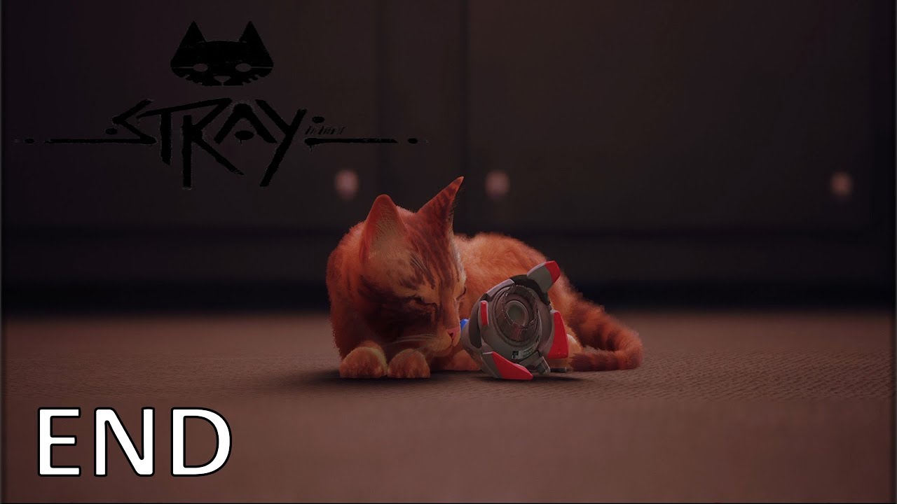STRAY Gameplay Walkthrough Part 5 [ #END ] FULL GAME. - YouTube