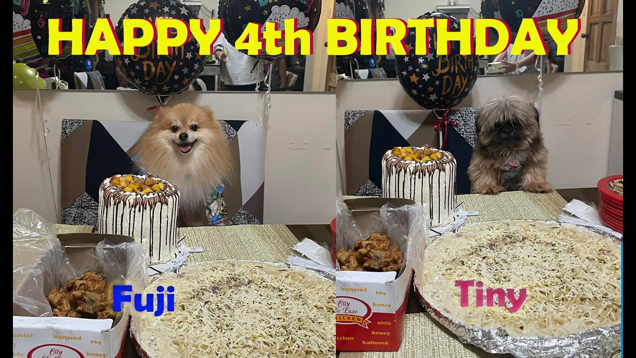 Birthday Celebration Fuji & Tiny & Fur babies update - YouTube