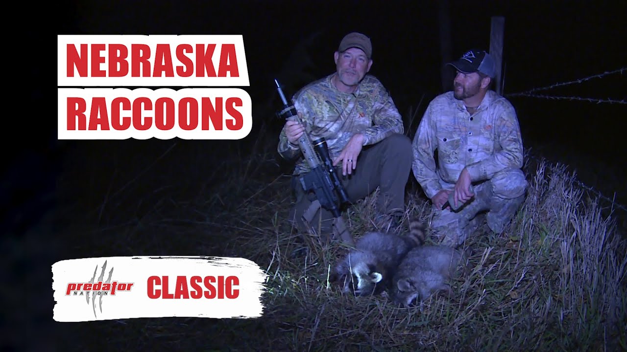 Hunting Raccoons in Nebraska - YouTube