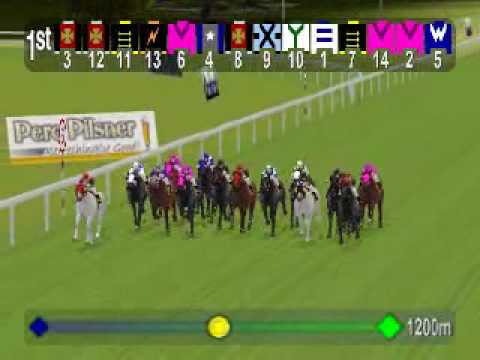 Raceclubs Virtual Horse Race - YouTube