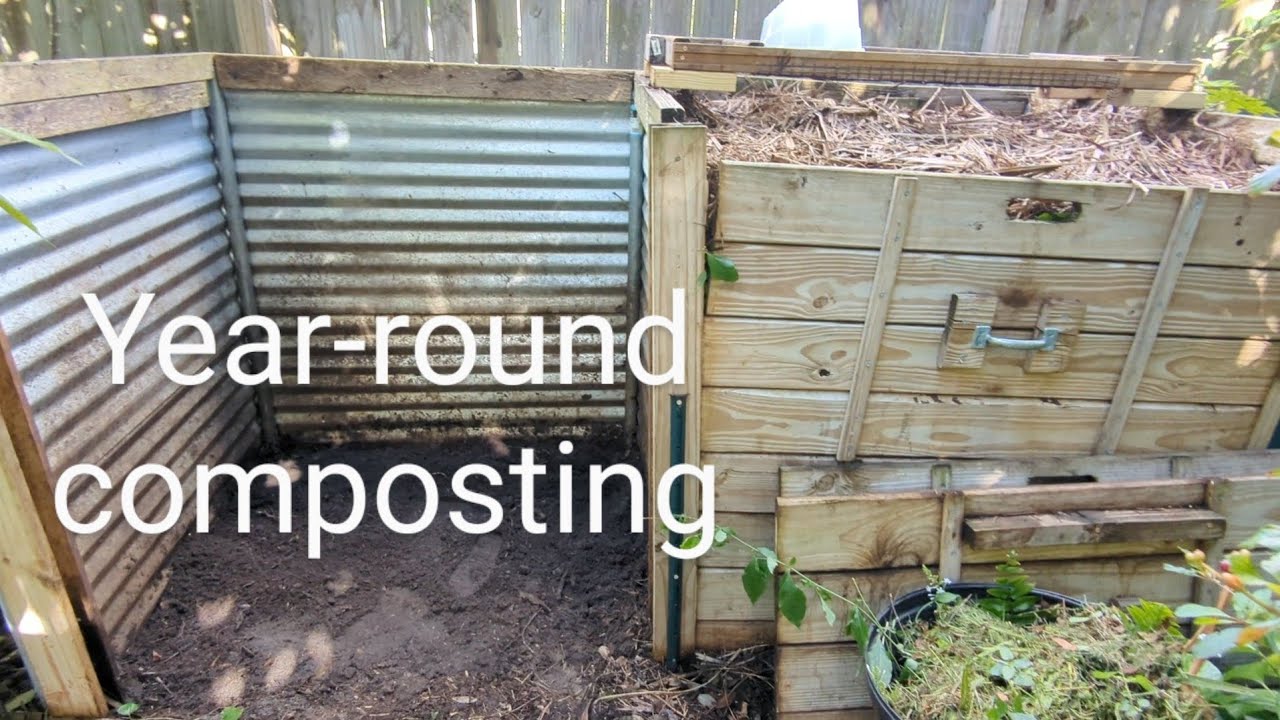 Composting YEAR-ROUND in the subtropics. 🪱🪳🐜 - YouTube
