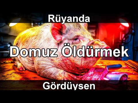 Rüyada Domuz Öldürmek Görmek Ne Anlama Gelir?