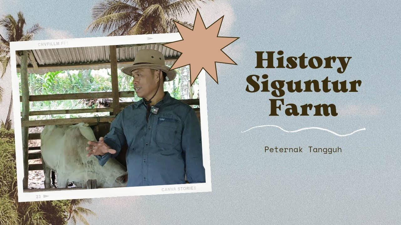 History Siguntur Farm - YouTube