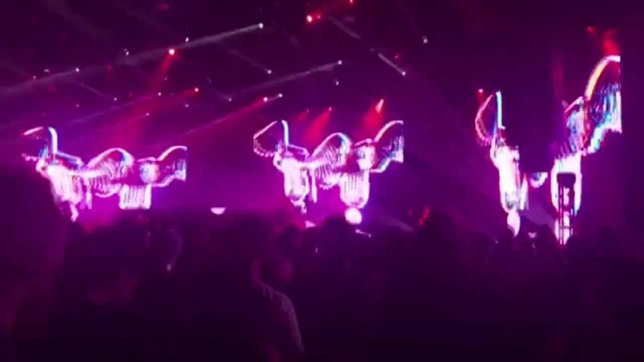 Troyboi - Hey Boy (New Unreleased Song) - YouTube