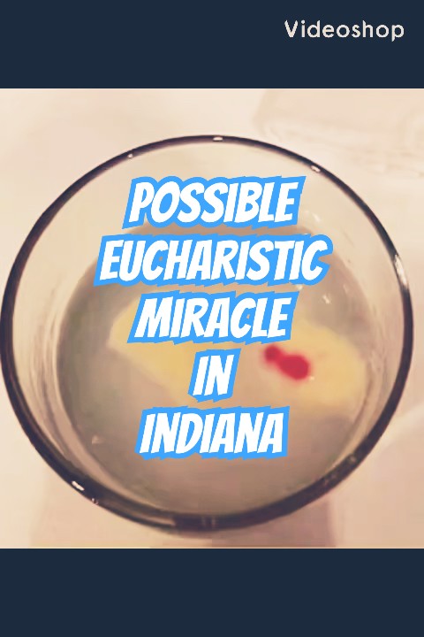 Possible Eucharistic Miracle in Indiana #eucharisticmiracle #catholic ...