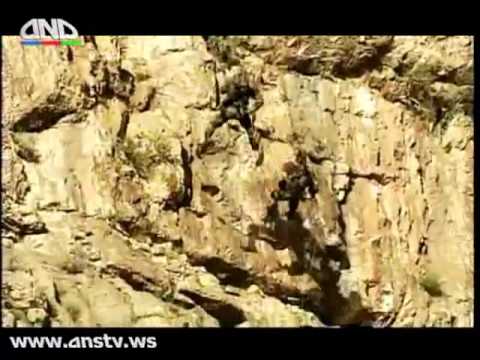 Azerbaijan Commandos & Border Guards 2010