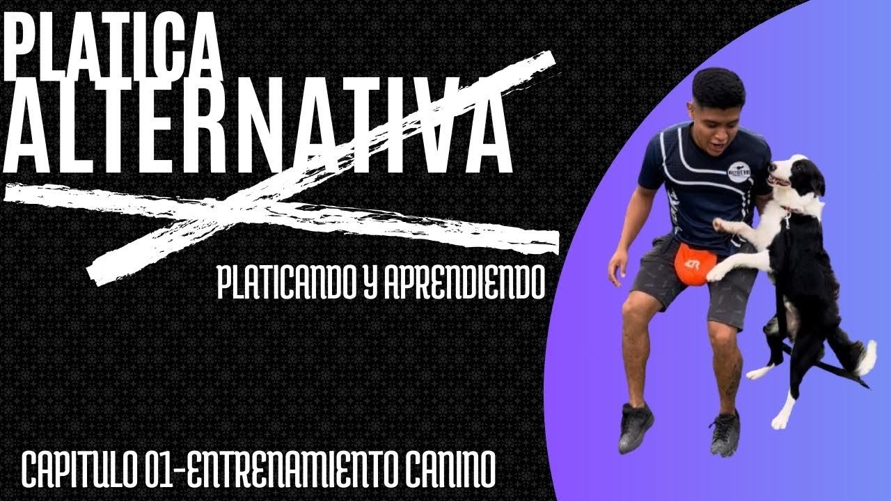 Episodio 01-¿Estoy listo para tener un perro?-Jarold Ramírez - YouTube