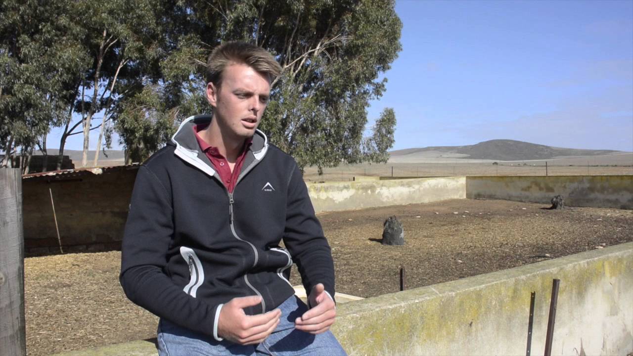 Hoe beïnvloed Suid-Afrika se droogte boere in die Swartland? - YouTube