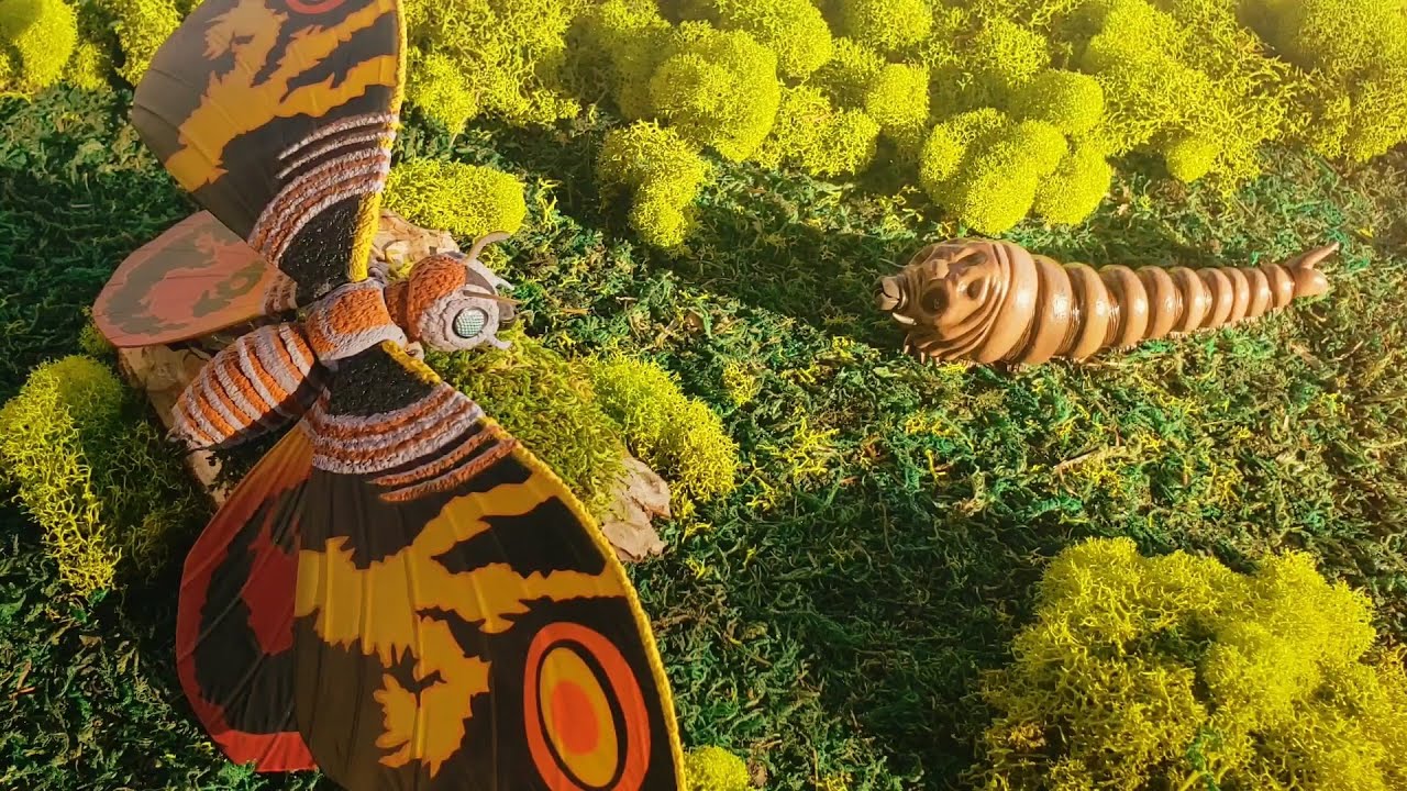S.H.MonsterArts Mothra & Mothra Larva/Sunset Scene [Stop Motion] - YouTube