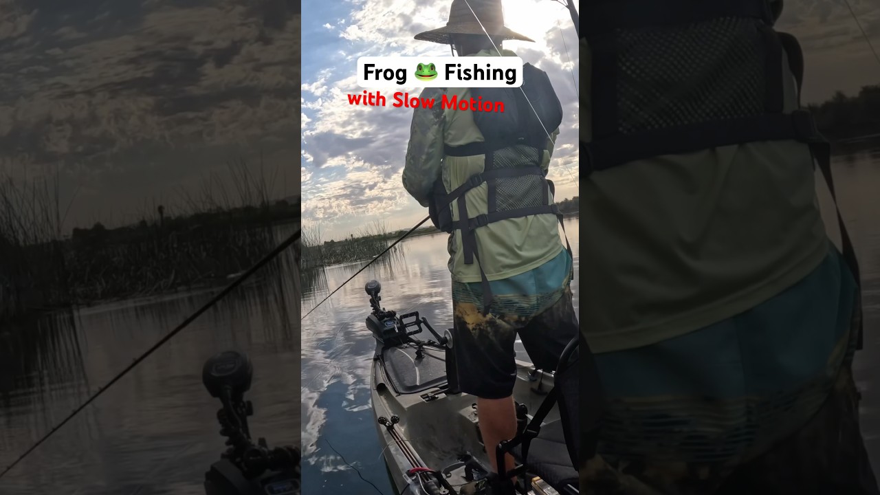Frog 🐸 Fishing #bassfishing #fishing #kayakfishing #angler # ...