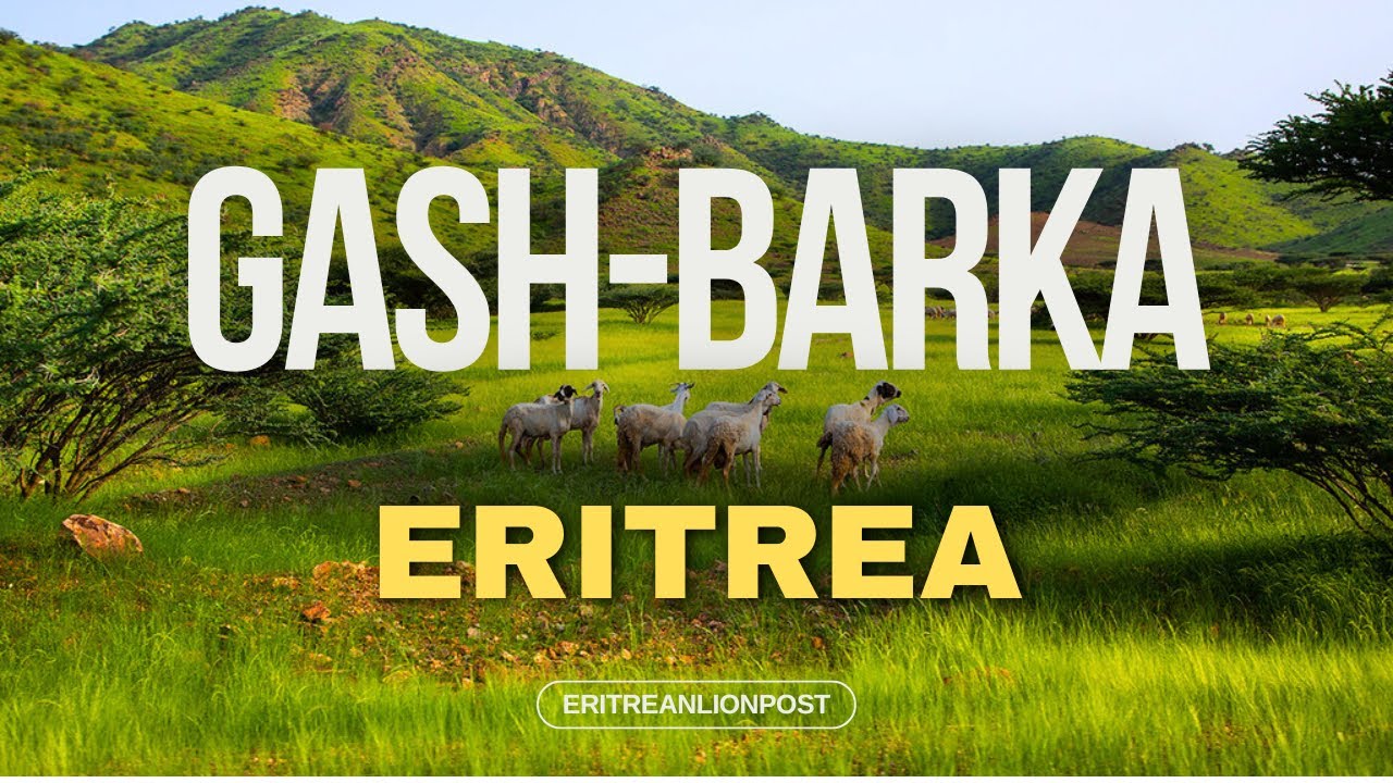 Beautiful scenery in Eritrea Gash-Barka ጽቡቕ ትርኢት ኣብ ኤርትራ ጋሽ-ባርካ - YouTube