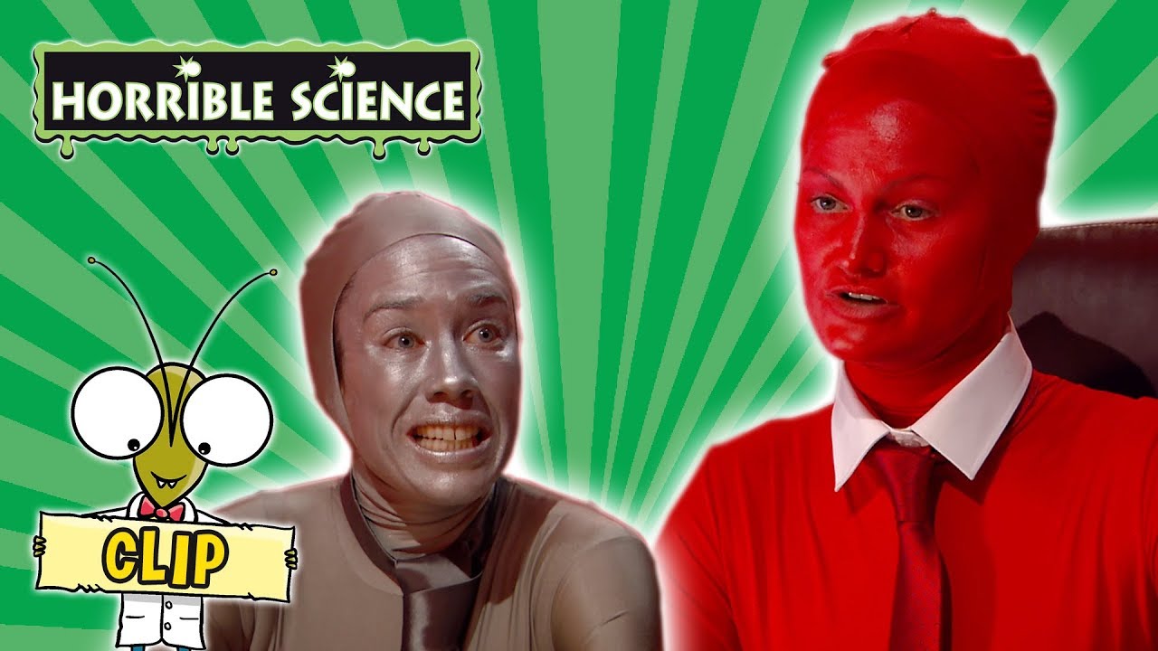 Horrible Science - Blood Cell Interview | Inside Your Body | Science ...