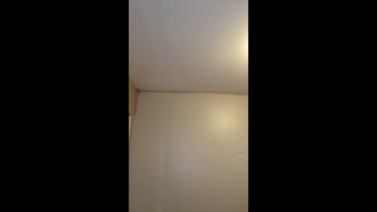 Poopy girls - YouTube