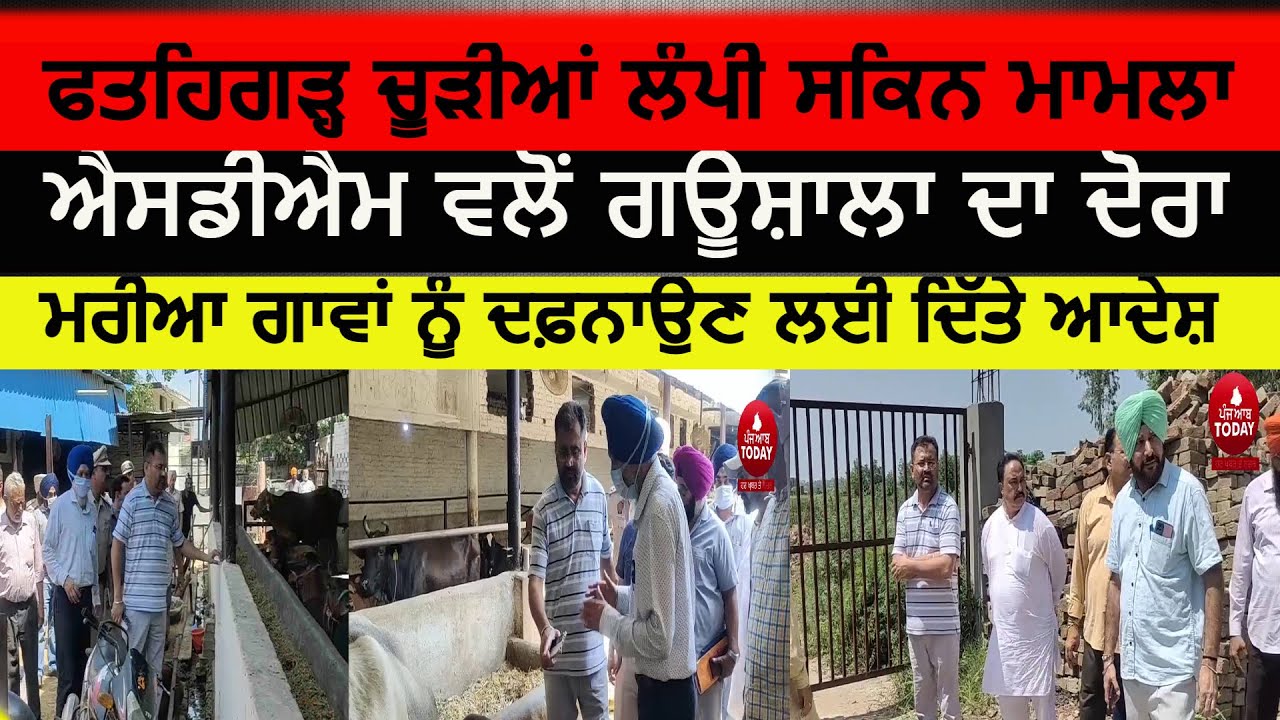 SDM fatehgarh churria visit cowshed| Lumpy skin disease Fatehgarh ...