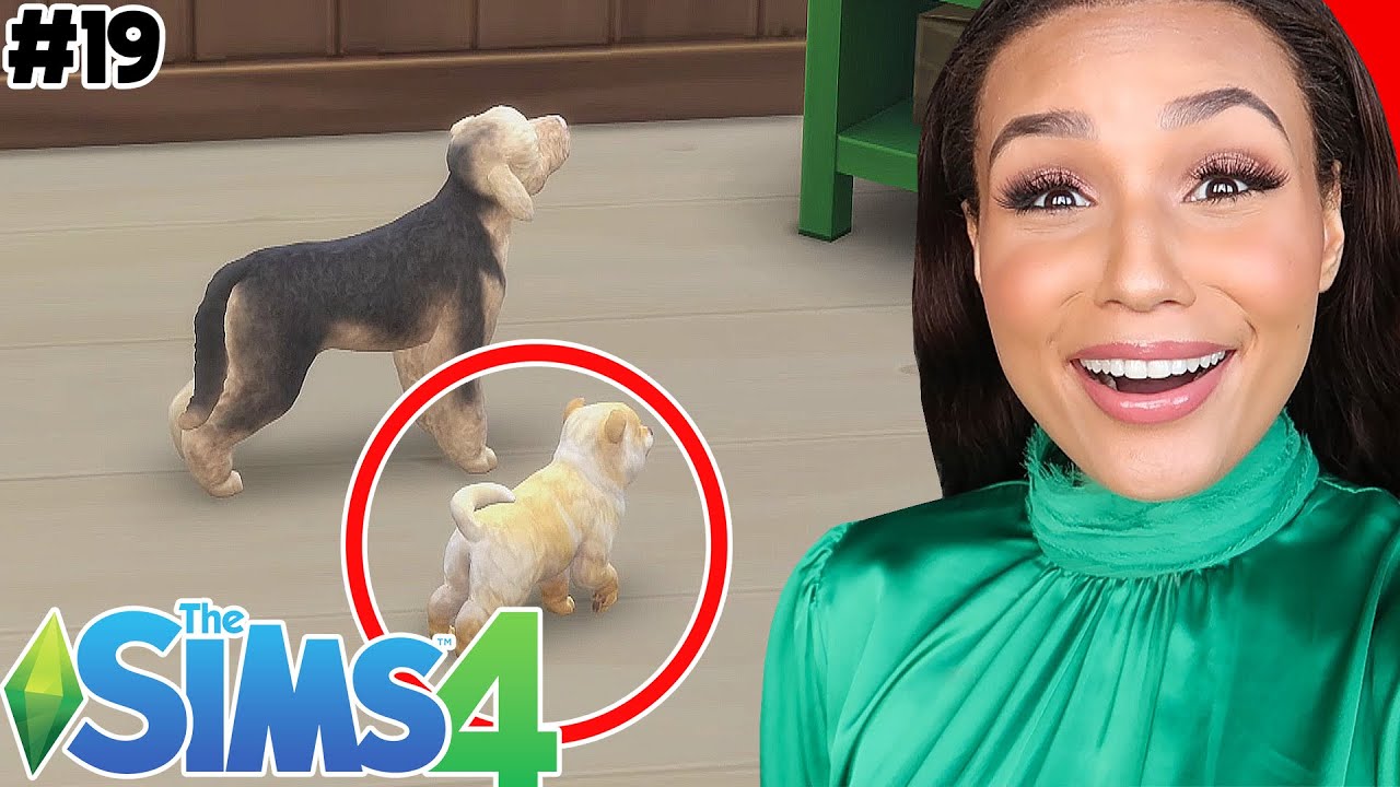 DIT IS MIJN NIEUWE PUPPY & WATERGEVECHT! - SIMS 4 #19 - YouTube