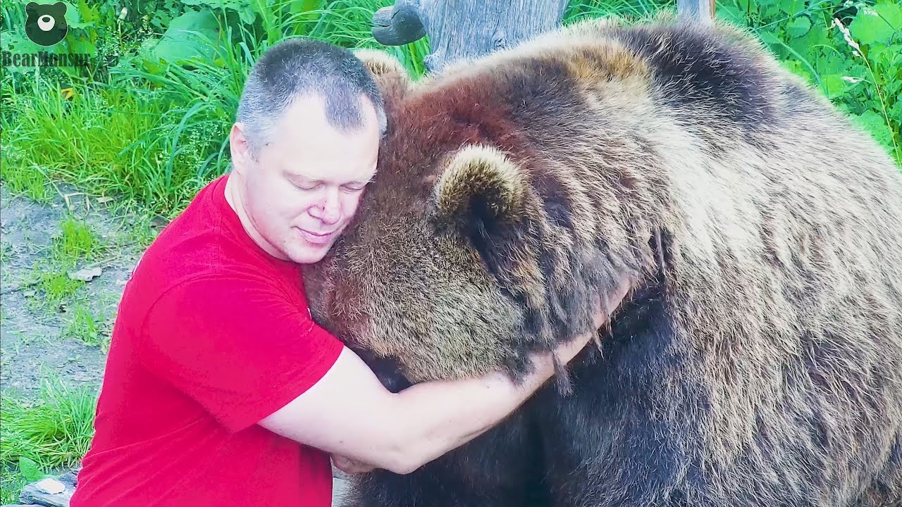 Мансурка рад приезду папы🐻 ️/Bear Mansur - YouTube