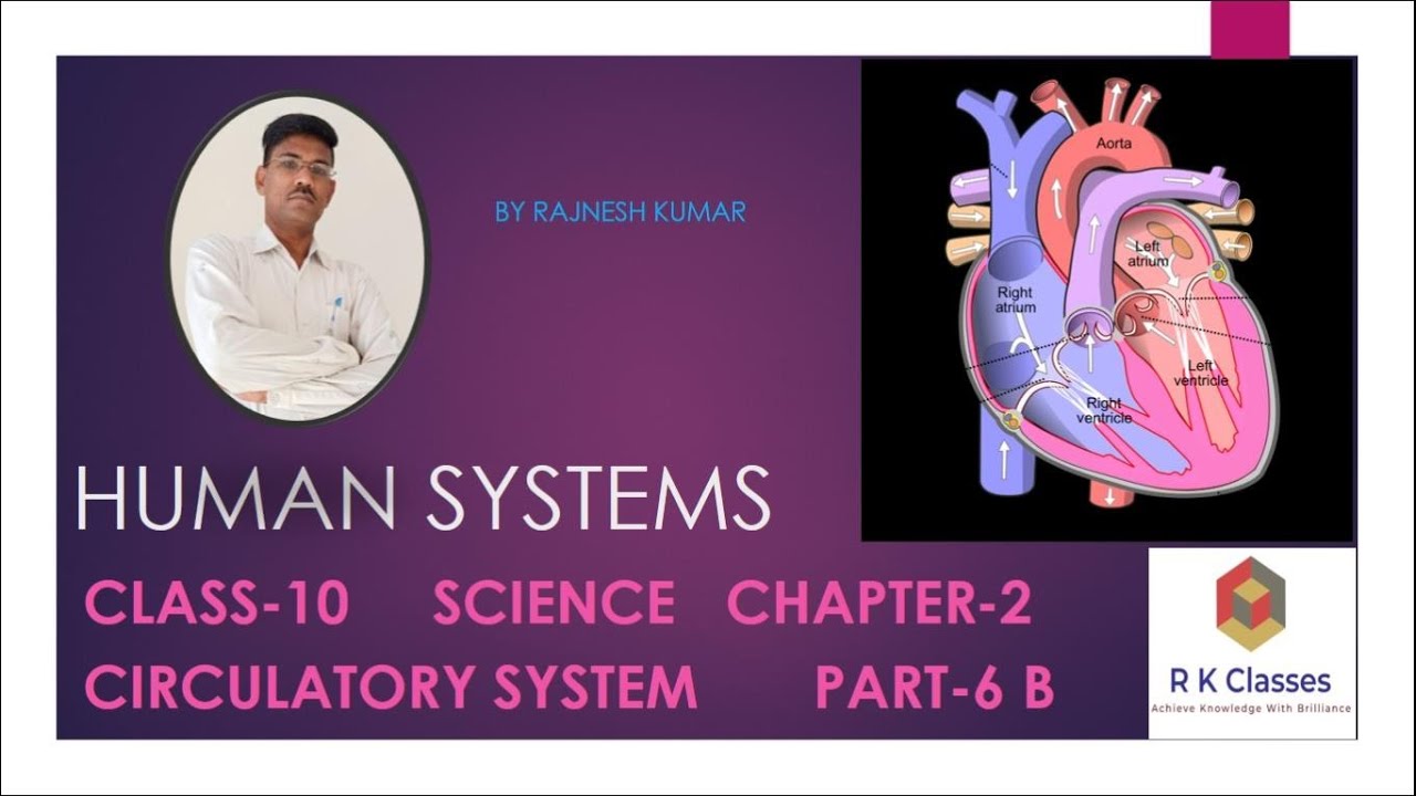 Class X | Science | Chapter 2 | Human Systems | Part 6 B | Circulatory ...