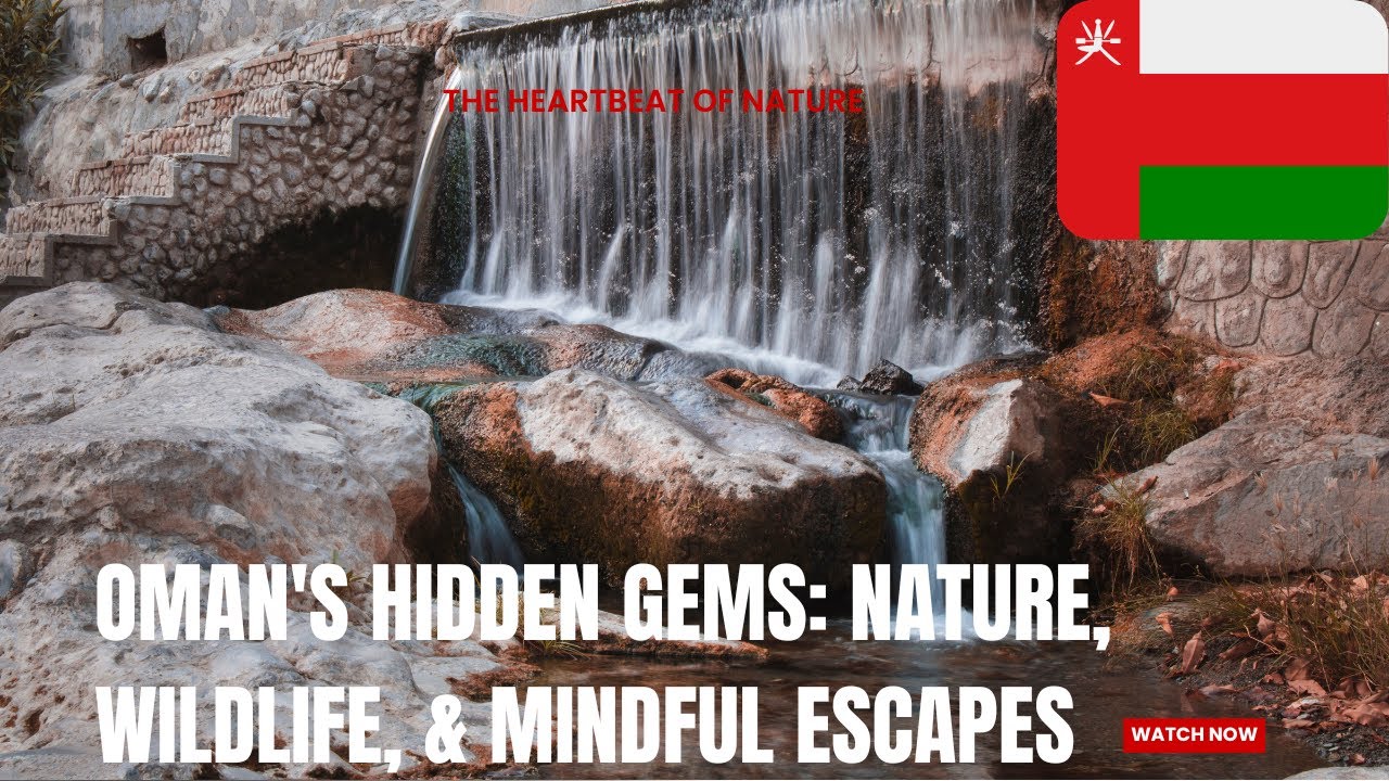 Discover Oman: A Journey Through Desert, Mountains, & Mindful Escapes ...