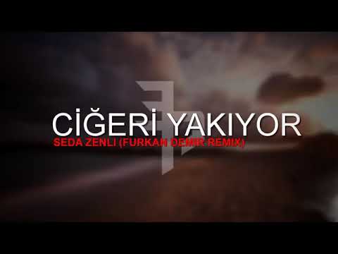 Furkan Demir - Ciğeri Yakiyor .remix