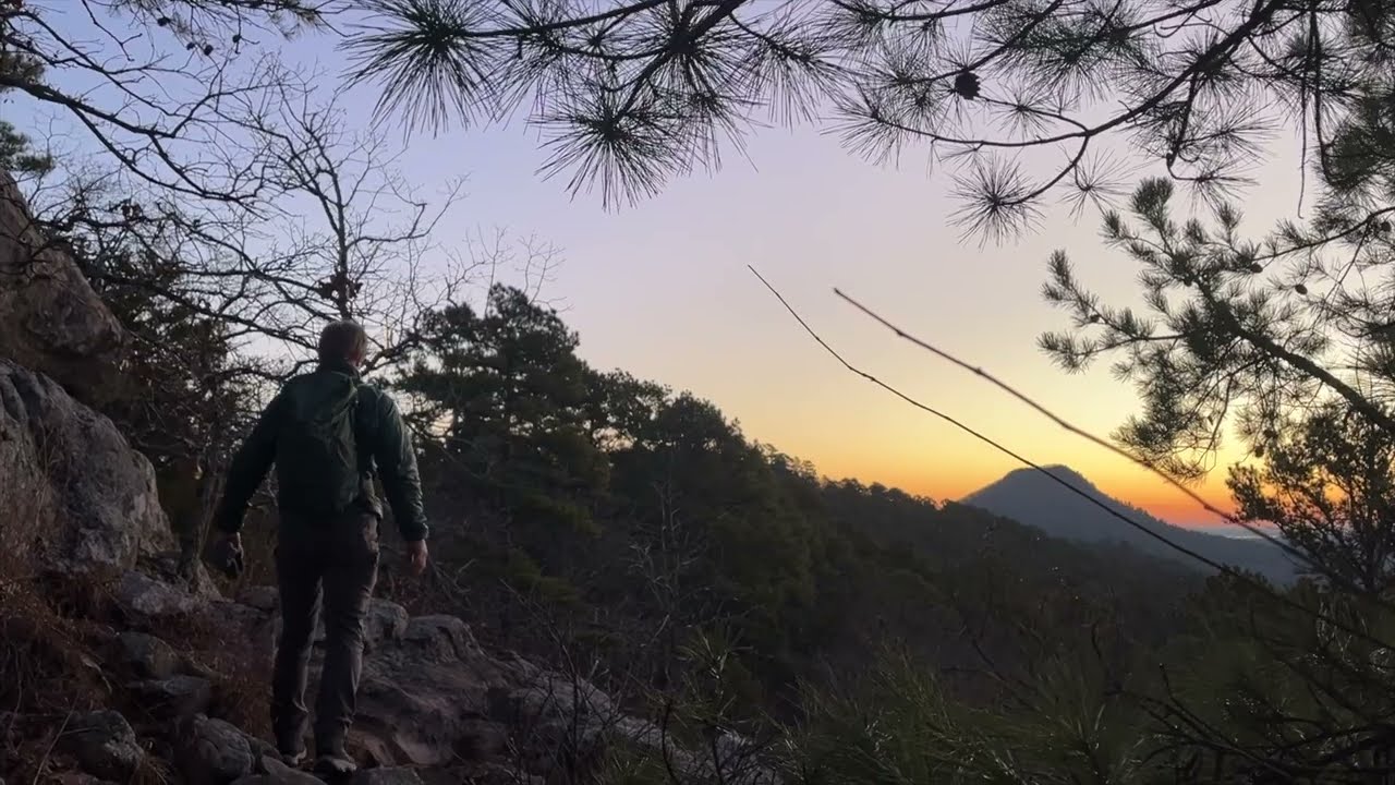Rattlesnake Ridge Natural Area | Roland, Arkansas #hiking #arkansas ...