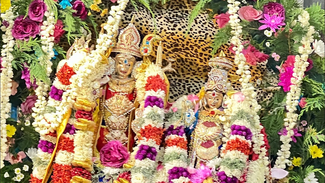 Sivan-Parvathi Thirukalyanam 2024 - YouTube