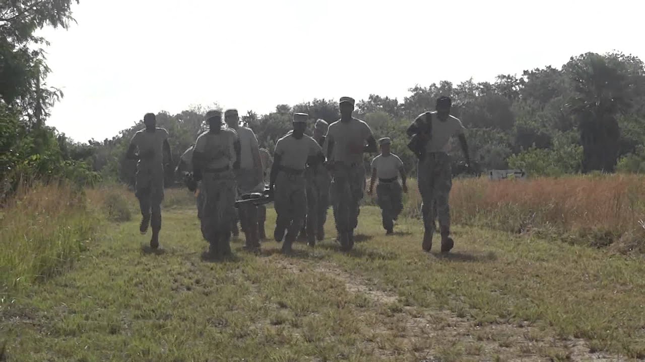 Litter Carry - YouTube