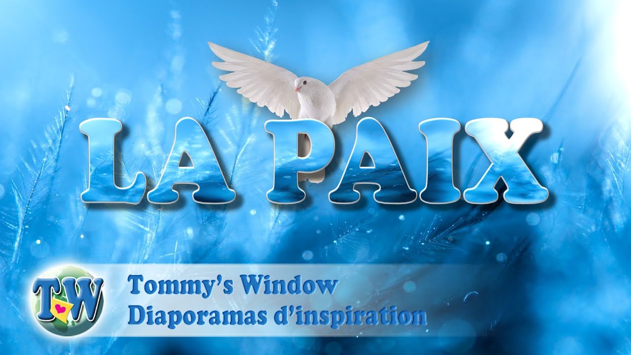 La paix - Tommy's Window Français - YouTube