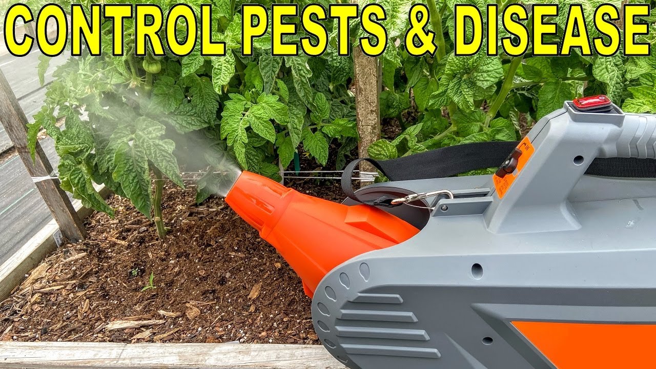 This AMAZING TOOL Is ELIMINATING My Garden Pests And Diseases - YouTube