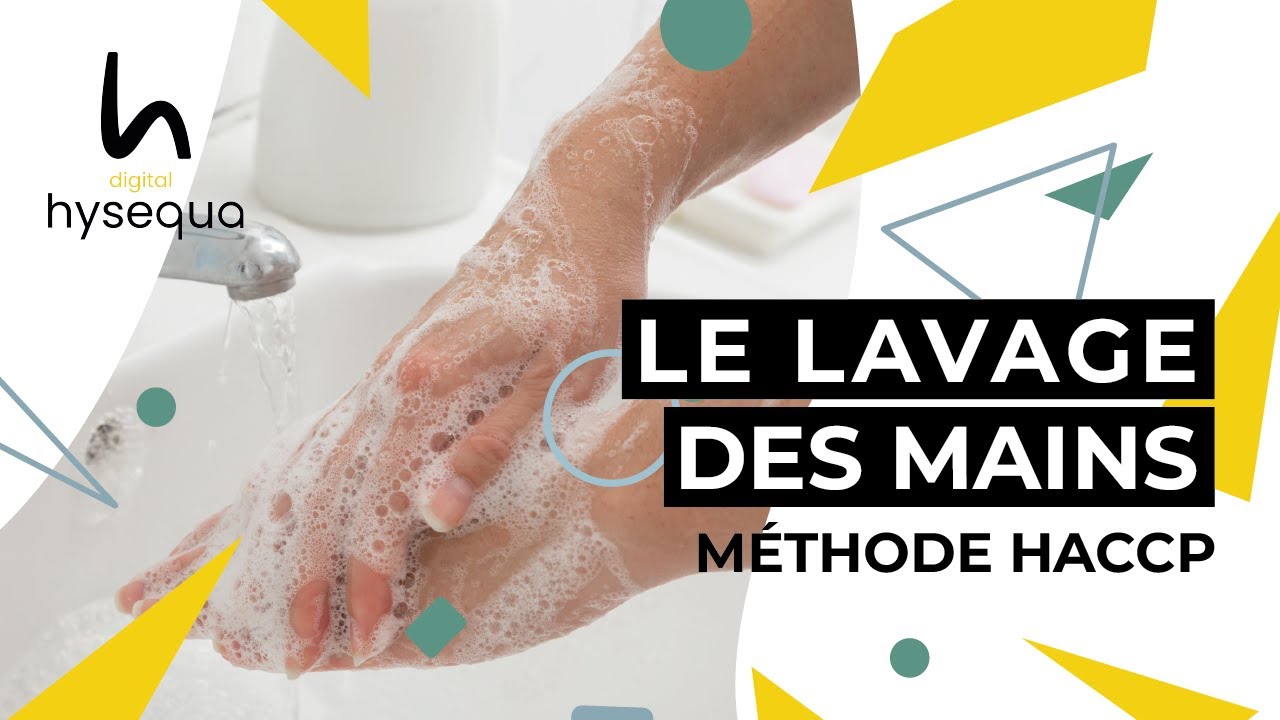 LAVAGE DES MAINS dans l'alimentaire : Secrets pour une hygiène parfaite ...