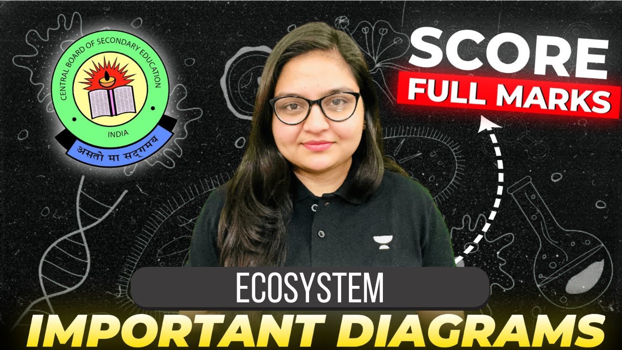 🔴 Ecosystem 🔥 | Diagram Review and Important questions | Class 12 ...