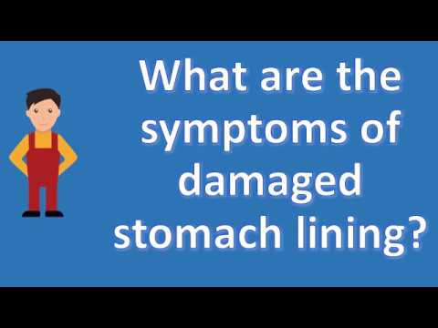 What are the symptoms of damaged stomach lining ? |Healthy Living FAQs ...