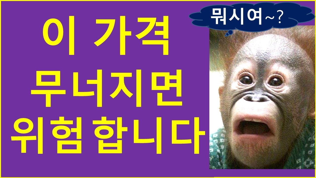 비트코인 이 가격 이하는 위험합니다 Feat 장단기 가격전망 이더리움 리플 알트코인 코인투자 크립토tv 블랙록 Etf 주식 부동산 반감기 경제적자유 투자방송