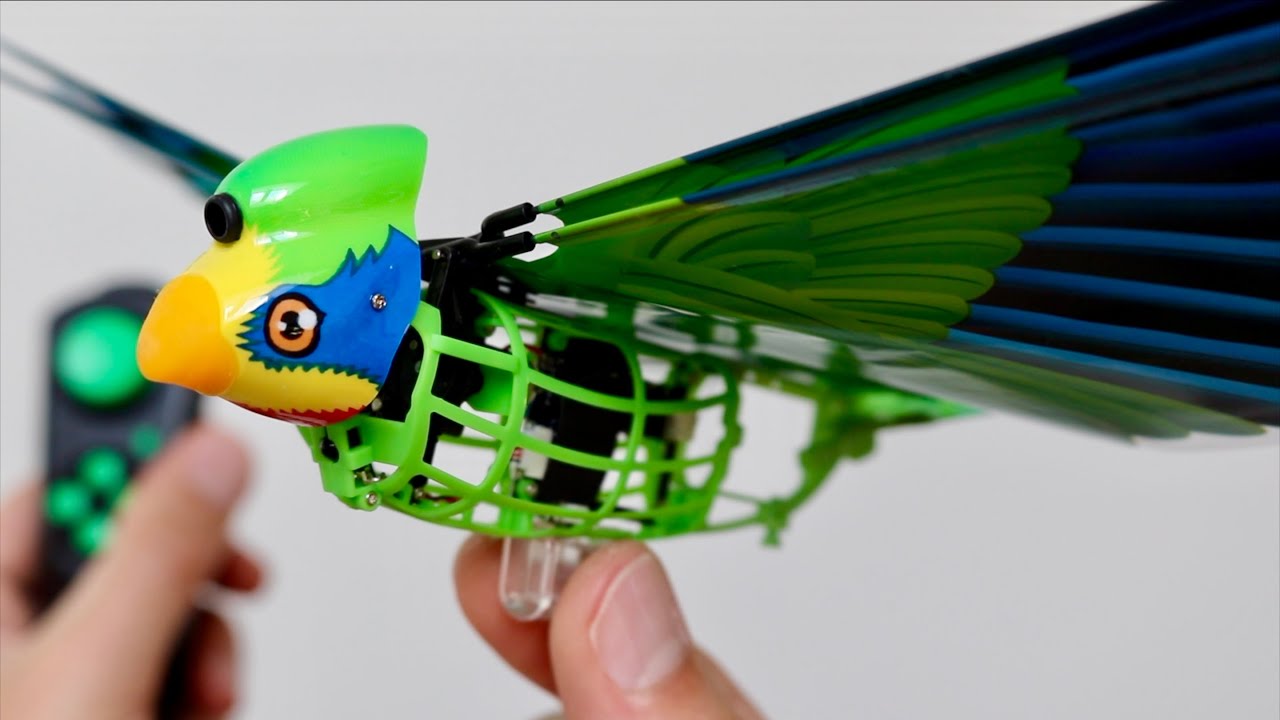 Bionic Bird - Indoor Flight - YouTube