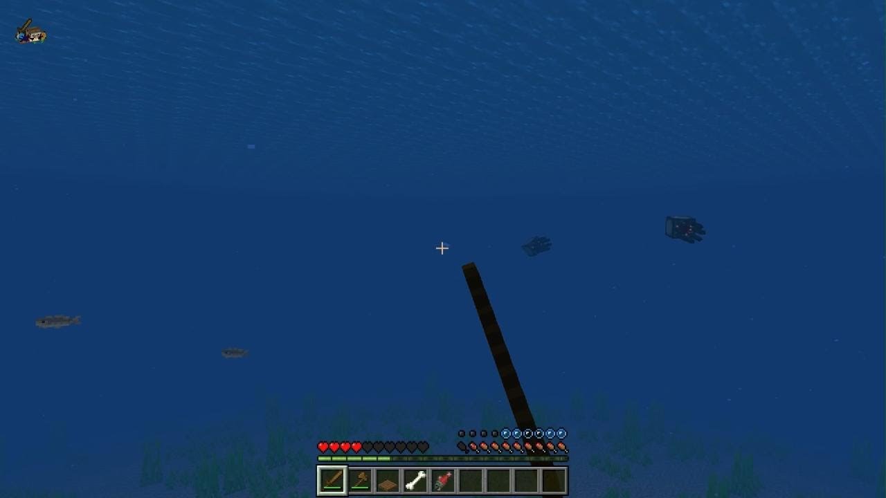 Finding every section in Minecraft - YouTube