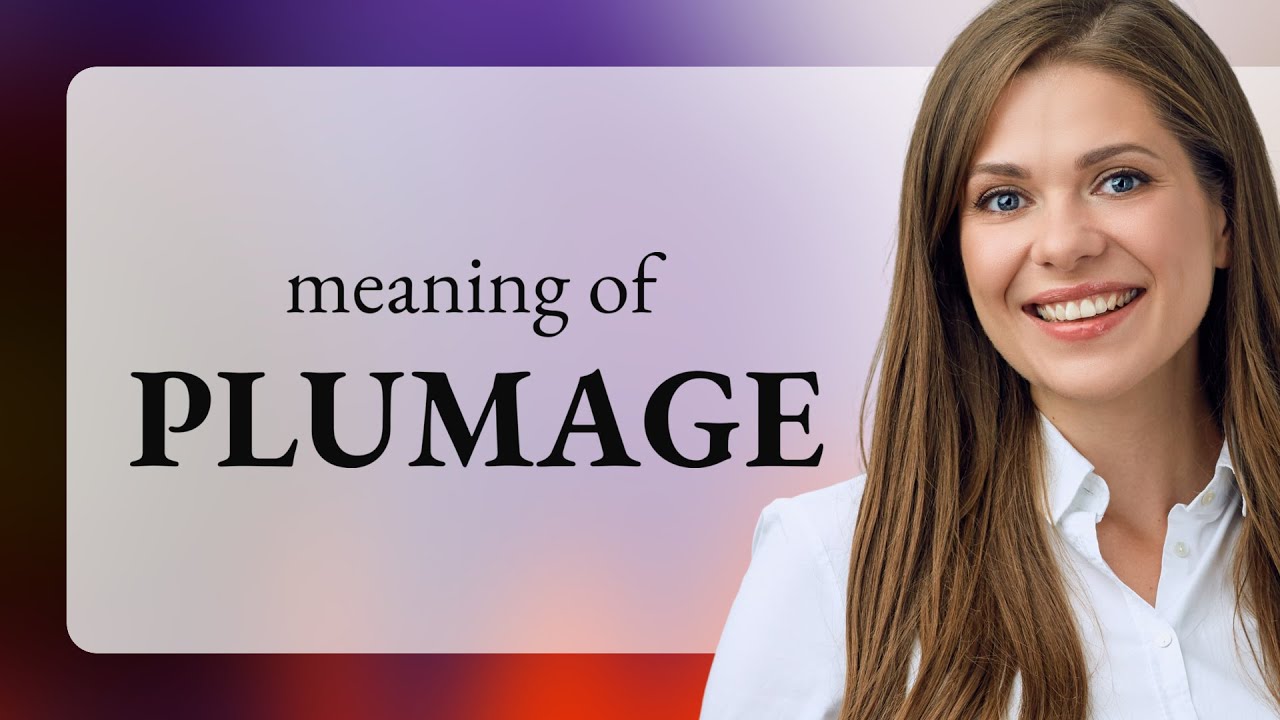 Plumage — PLUMAGE definition - YouTube