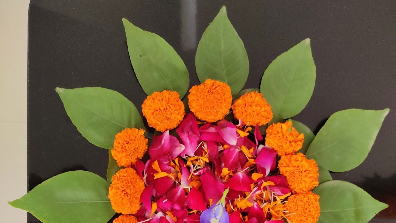 Galgota / Genda Flower na Hindola 🏵️🌿|| Flower Hindola || Hindola ...