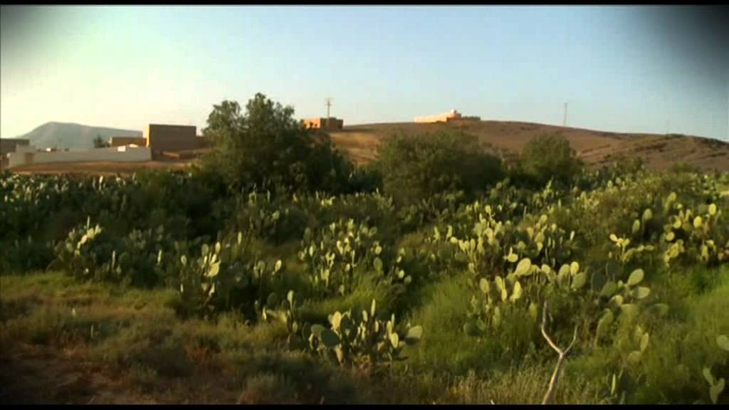 PLAN MAROC VERT 2010 - YouTube