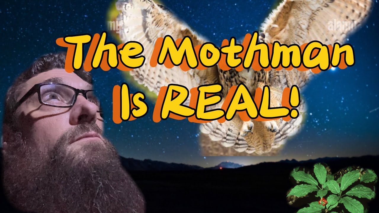 My true encounter with the moth man! - YouTube