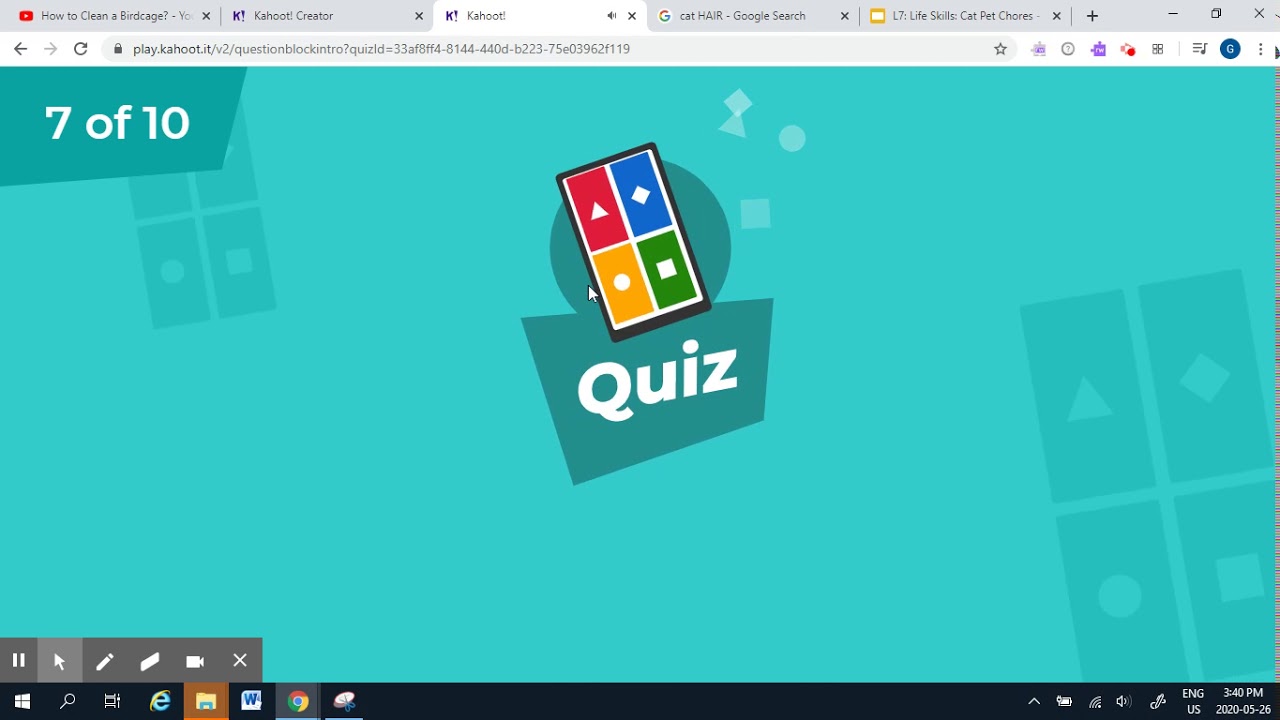 L7: Life Skills: Cat Pet Chores - Quiz - YouTube