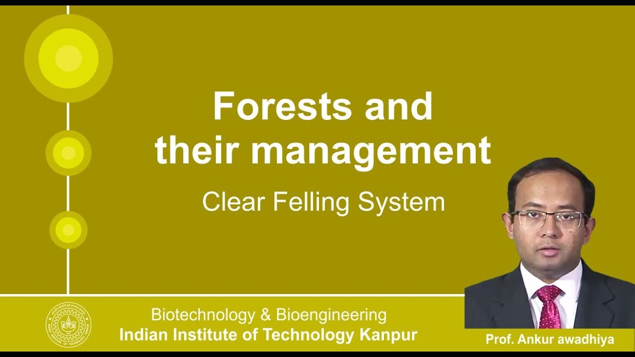 noc20-bt01-lec21_ Lecture 21: Clear Felling System - YouTube