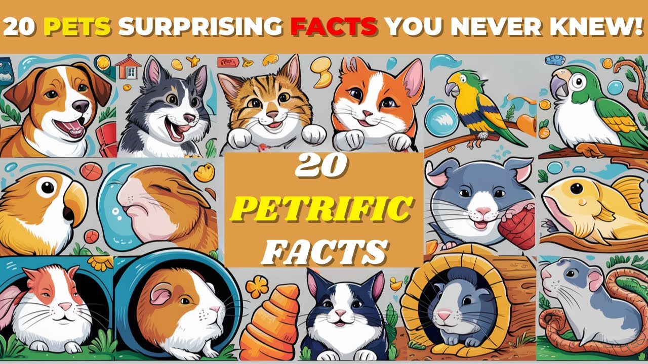 Shocking secrets: 20 amazing household pet facts! #petfacts #pets - YouTube