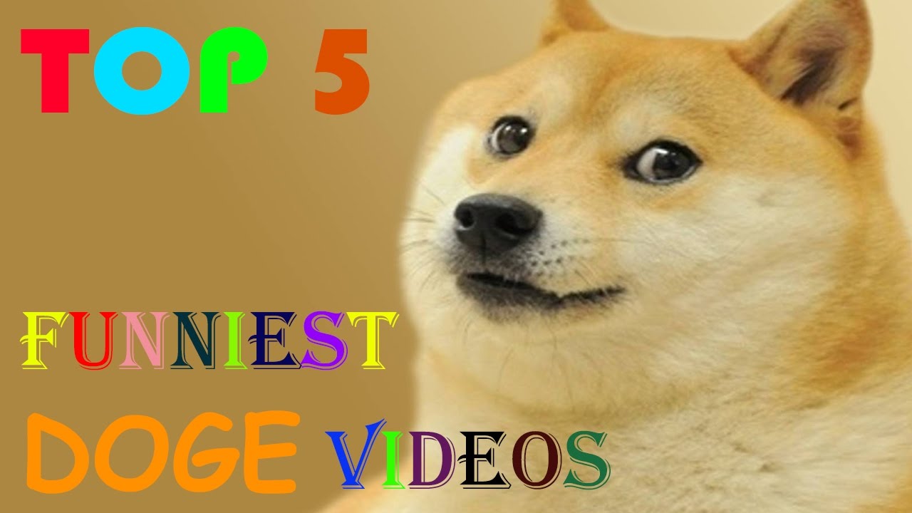 Top 5 Funniest DOGE videos - YouTube