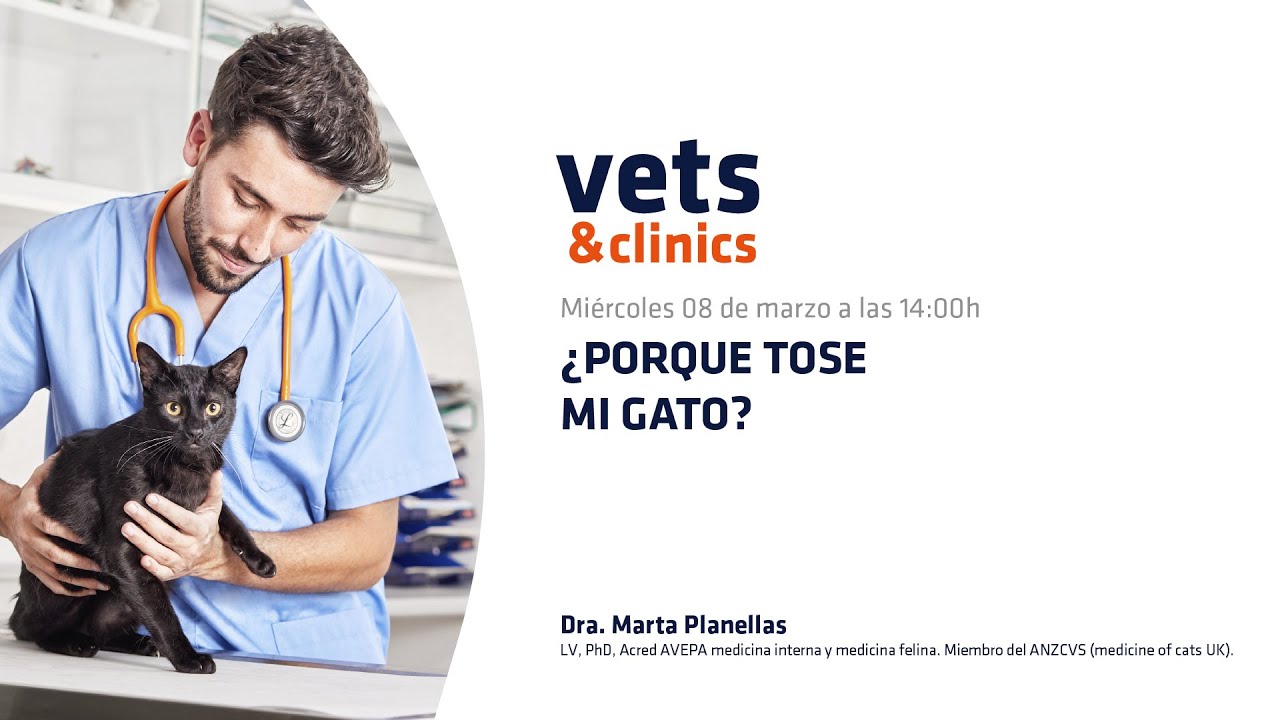 62. ES “¿Por qué tose mi gato?” (Dra. Marta Planellas) - YouTube
